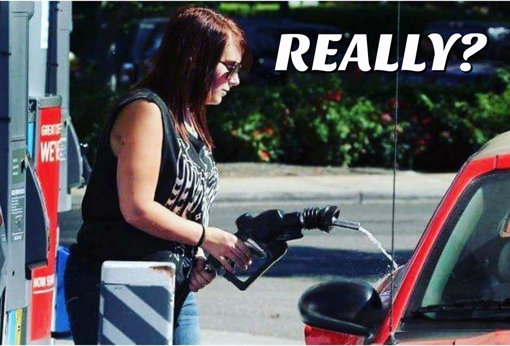 Tuesday’s Jokes, Quotes, Quizzlers and Teases! – The World According to ...