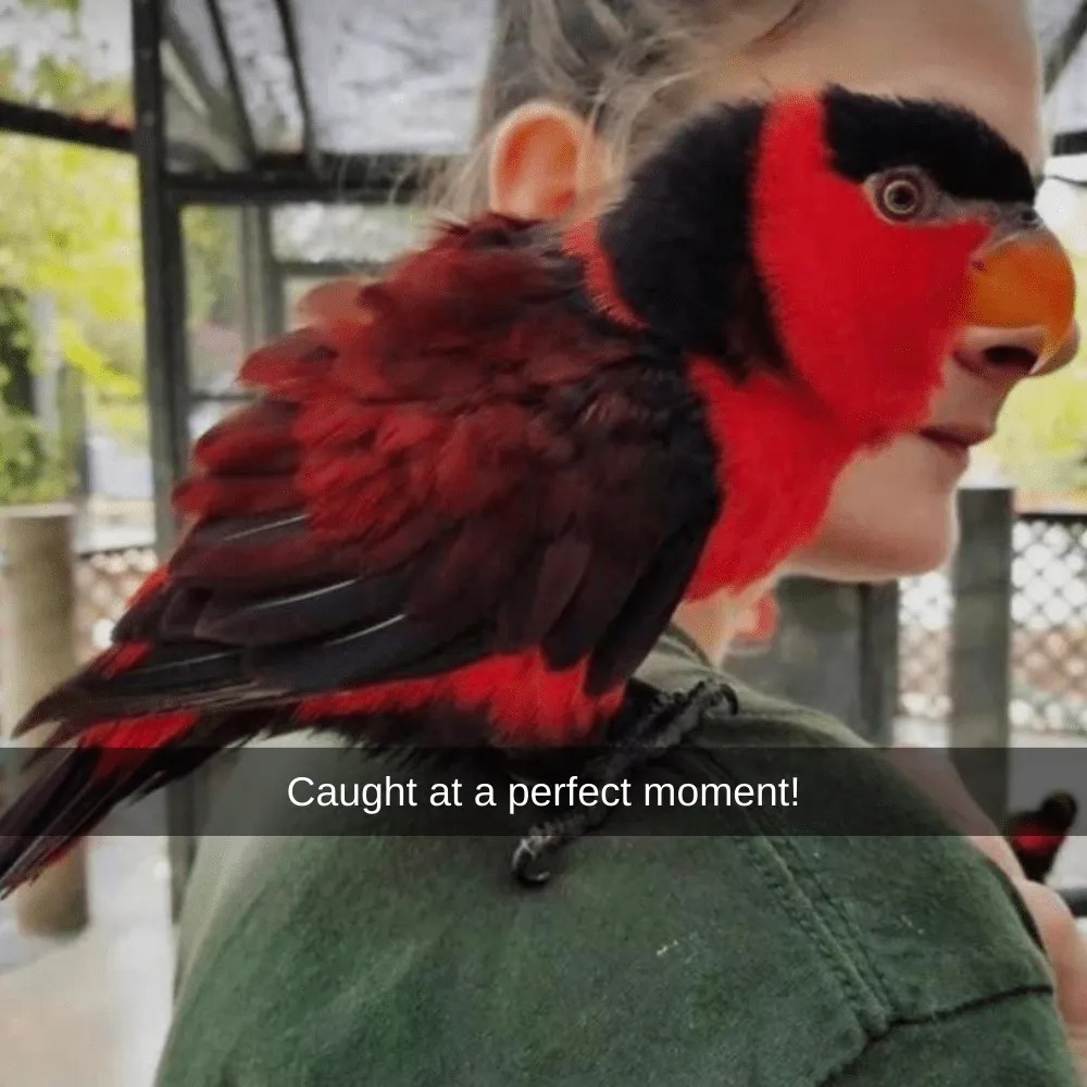 Tuesday’s Jokes, Quotes, Quizzlers and Teases! – The World According to ...